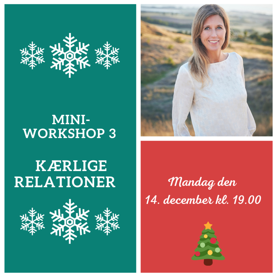 Julekalender 2020 - Lisbeth Fruensgaard Coaching