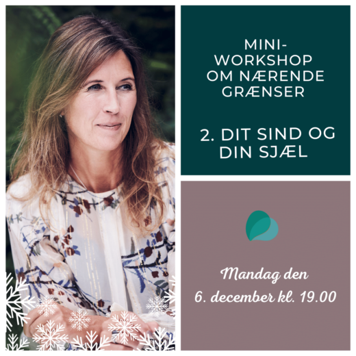 Julekalender 2021 - Lisbeth Fruensgaard Coaching