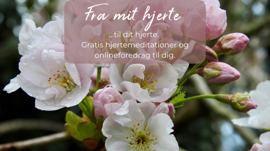 Fra mit hjerte... - Lisbeth Fruensgaard Coaching